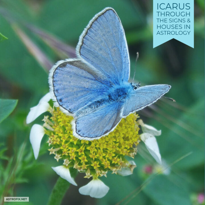 Icarus through the Signs and Houses in Astrology – AstroFix