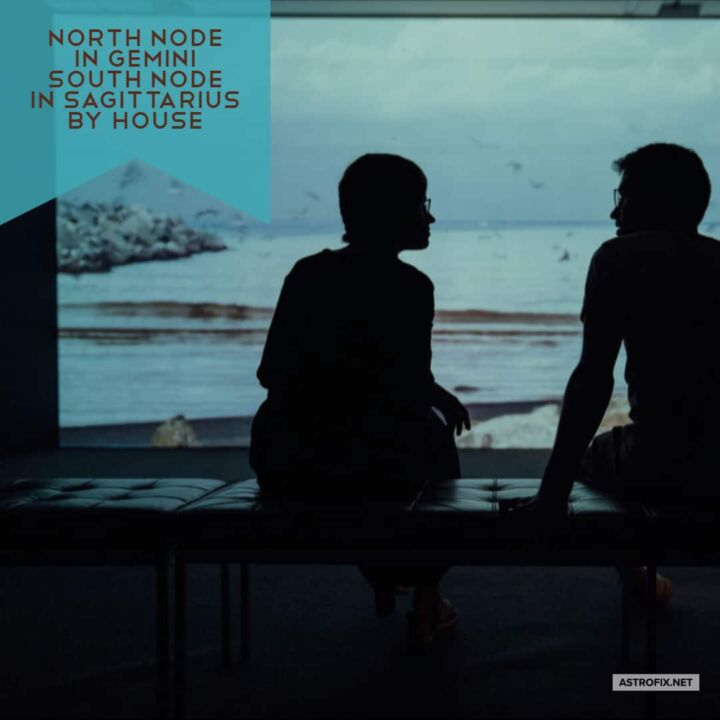 North Node in Gemini and South Node in Sagittarius, by House – AstroFix