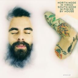 North Node in Pisces and South Node in Virgo, by House – ASTROFIX