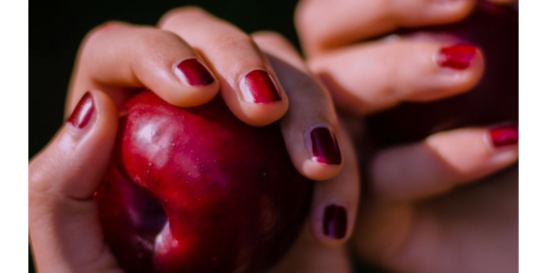 Sun by Sign & House – AstroFix